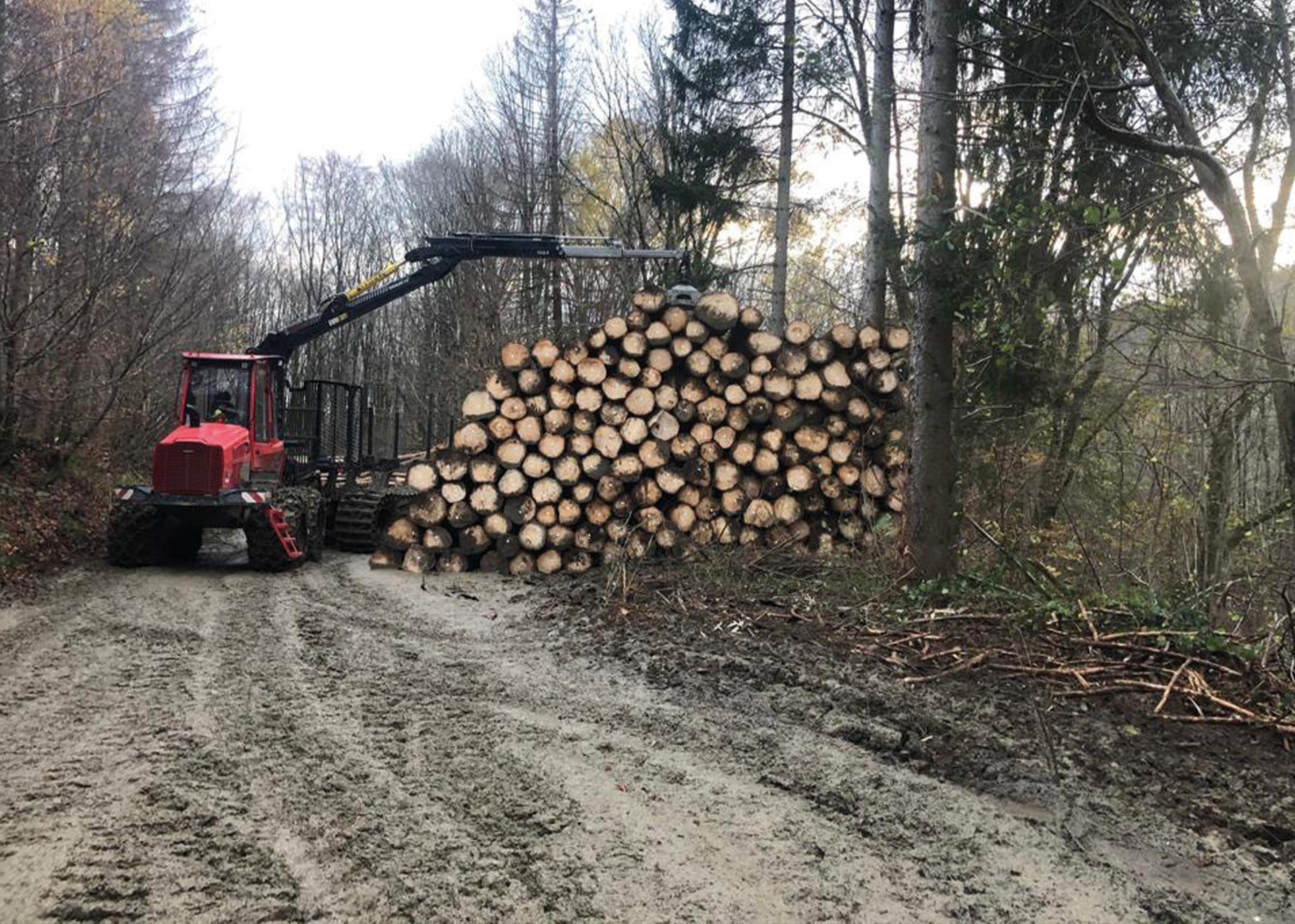 Quality and services - EU Timber